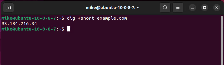 DNS A Record Lookup - Check the IPv4 address of your domain